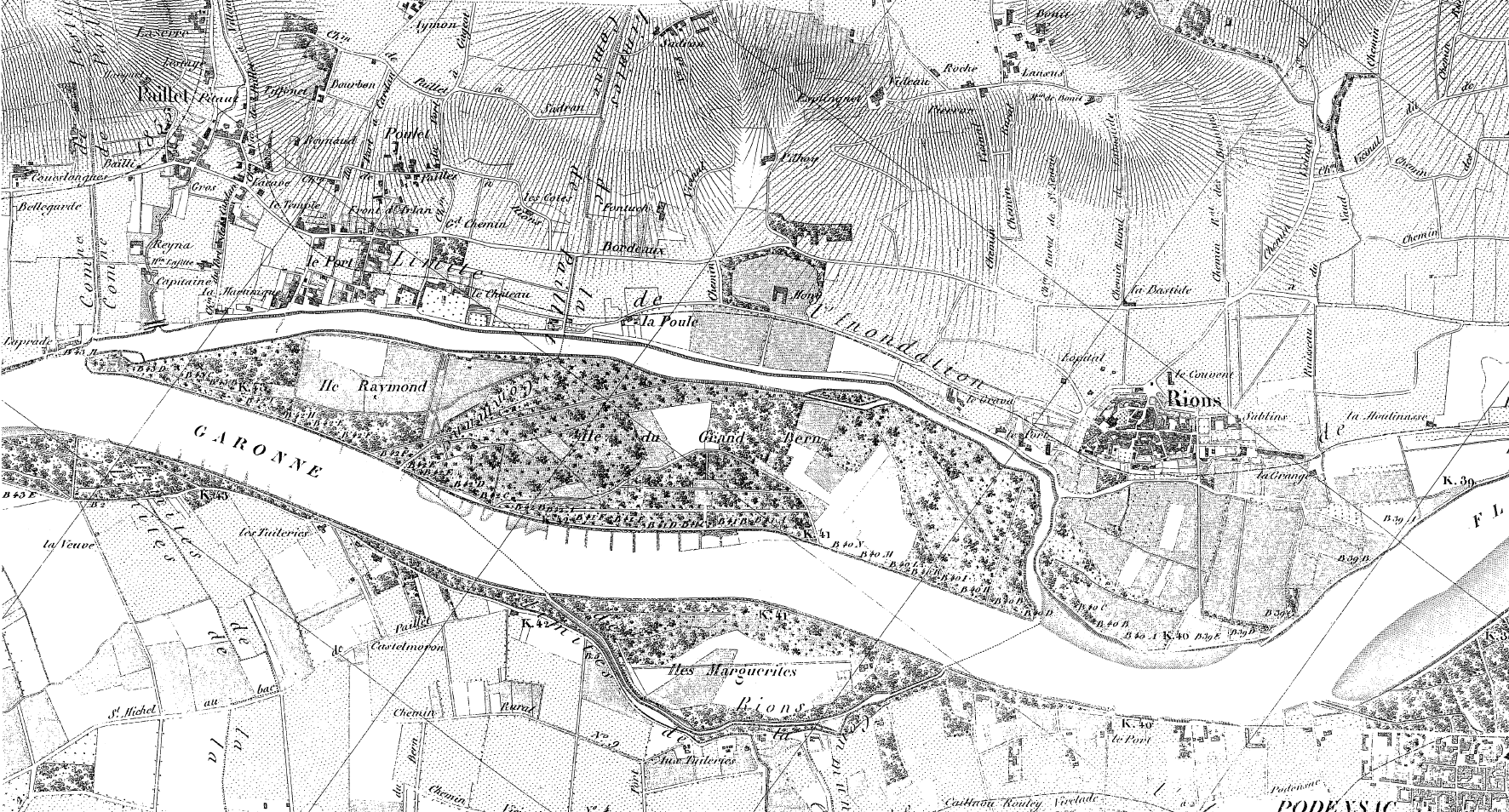 Espace naturel sensible de l'Île de Raymond - Convergence Garonne